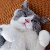 developtools_ace_ets2bundle:-- - AtomGit | GitCode