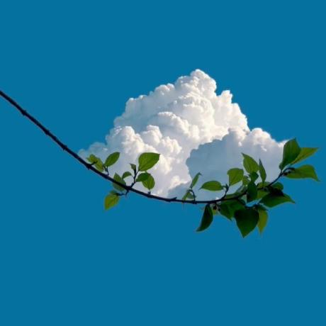 vit-pytorch - GitCode