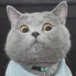 openGauss-container - GitCode