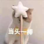 ops-transformer:本项目是CANN提供的transformer类大模型算子库，实现网络在NPU上加速计算。 - AtomGit | GitCode