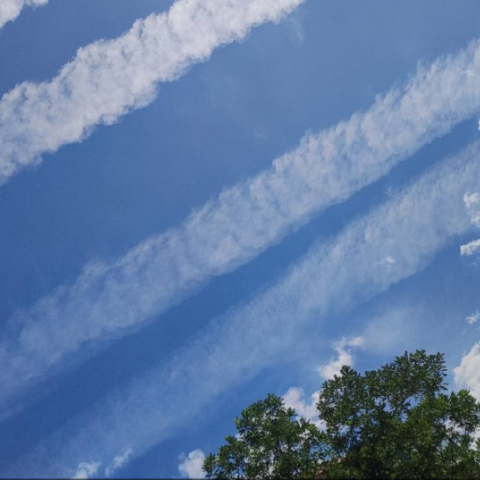 cangjie_libbpf:cangjie libbpf bindings - GitCode