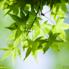 CangjieMagic:基于仓颉编程语言构建的 LLM Agent DSL，其主要特点包括：声明式 DSL、支持 MCP 协议，支持任务智能规划等。 - AtomGit | GitCode