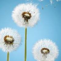 合并请求 - Pull Requests - CANN/ops-transformer - GitCode