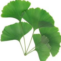 lvgl:lvgl基础代码 - GitCode