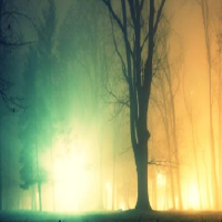 docs:OpenHarmony documentation | OpenHarmony开发者文档 - AtomGit | GitCode