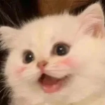 self-llm/models/GLM-4.5-Air/01-GLM-4.5-Air-vLLM 部署调用.md · Datawhale/self-llm - AtomGit | GitCode