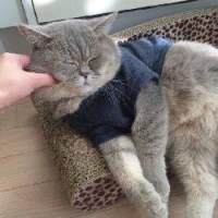 c-plus-plus-study - GitCode