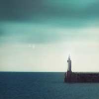 issues - OpenHarmony-SIG/flutter_inappwebview - AtomGit | GitCode