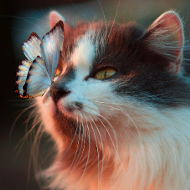 issues - Cangjie/HarmonyOS-Cangjie-Cases - GitCode