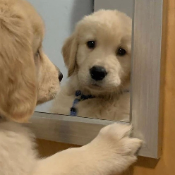 arkcompiler_ets_runtime:暂无描述 - AtomGit | GitCode