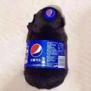 issues - OpenHarmony-SIG/ohos_pull_to_refresh - AtomGit | GitCode