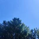 Cangjie-Examples:本仓将收集和展示高质量的仓颉示例代码，欢迎大家投稿，让全世界看到您的妙趣设计，也让更多人通过您的编码理解和喜爱仓颉语言。 - AtomGit | GitCode