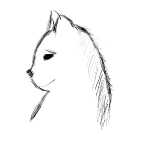 photon:A shader pack for Minecraft: Java Edition - AtomGit | GitCode