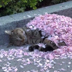 arkcompiler_ets_frontend:暂无描述 - AtomGit | GitCode