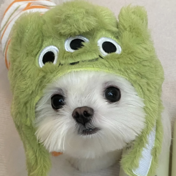 Kakadu7 / HarmonyOS-Examples - GitCode