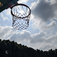 component_drivers:Hardware component drivers framework with unified management interface ...