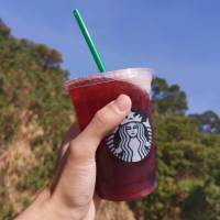 train_dp_npc.py · weixin_47223735 / 多样化和个性化的多评分医学图像分割 - GitCode