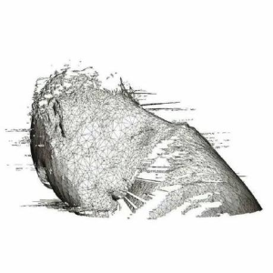 fit-framework:FIT: 企业级AI开发框架，提供多语言函数引擎（FIT）、流式编排引擎（WaterFlow）及Java生态的LangChain替代方案（FEL）。原生 ...