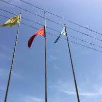 fluttertpc_open_file_7479 - GitCode