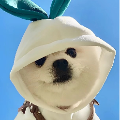 docs_hushijie:OpenHarmony documentation | OpenHarmony开发者文档 - AtomGit | GitCode