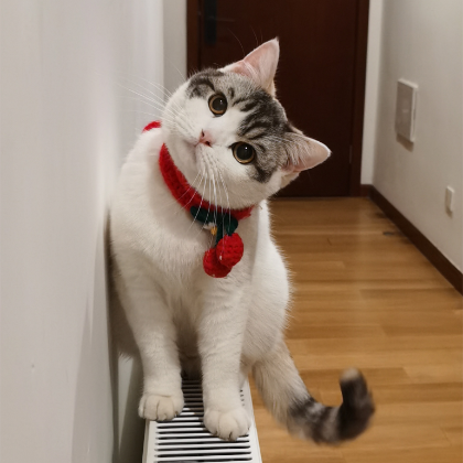 5-DeepSeek · Cangjie / HarmonyOS-Examples - GitCode