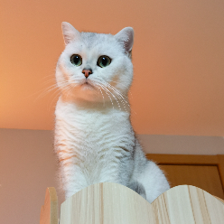 aslklw(67247f1b4580686cebaff95d) - AtomGit | GitCode