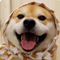 docs:OpenHarmony documentation | OpenHarmony开发者文档 - AtomGit | GitCode