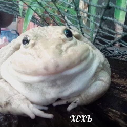 arkcompiler_ets_frontend:暂无描述 - AtomGit | GitCode