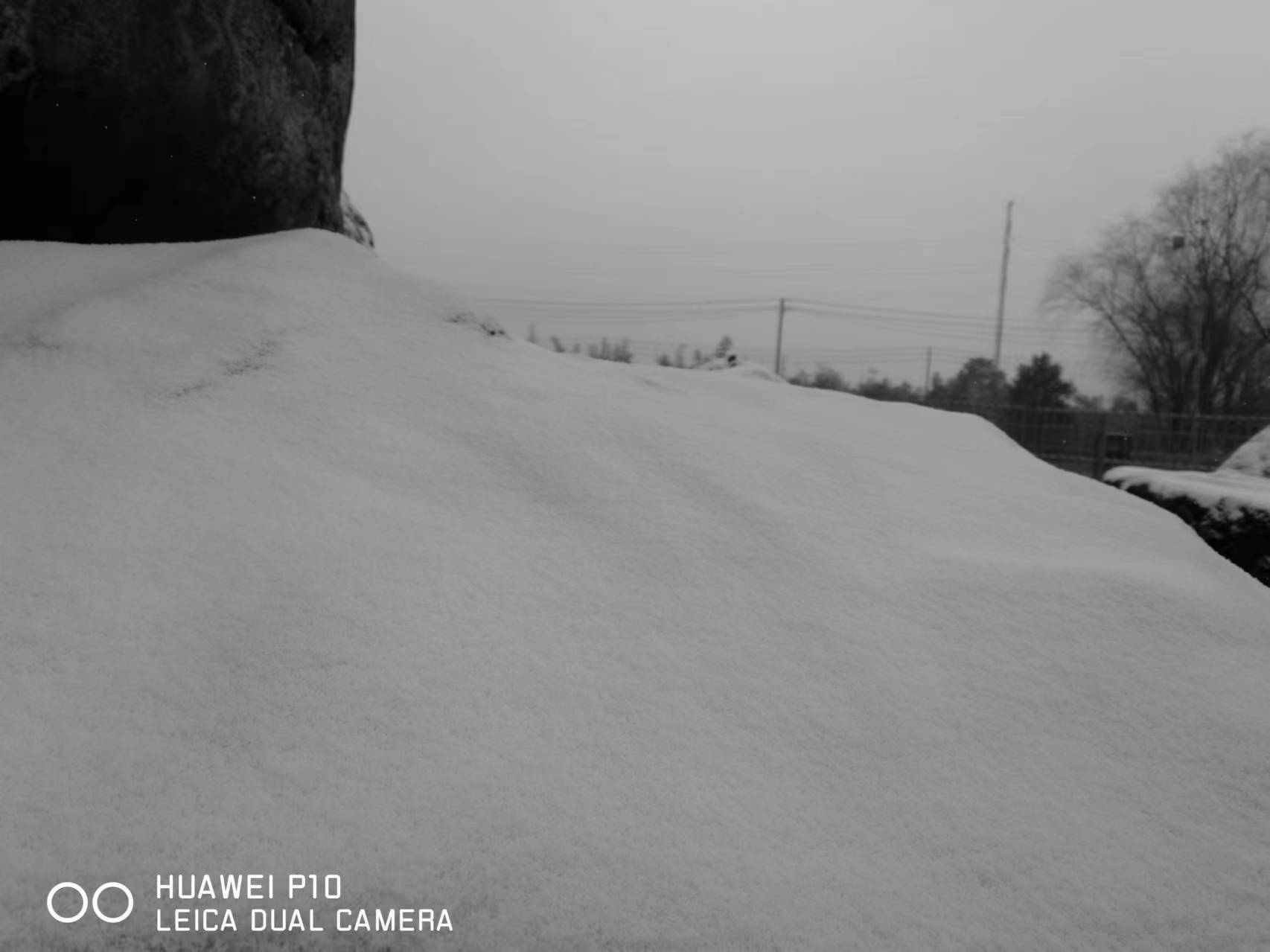 scanpy_pipeline:use scanpy and scvi-tools to analysis single cell RNA ...