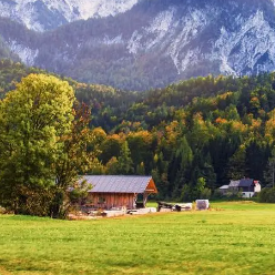 issues - OpenHarmony-SIG/compatibility - AtomGit | GitCode