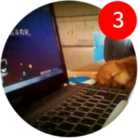 issues - GitHub 加速计划 - Gitcode