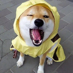 bundlemanager_bundle_framework:暂无描述 - AtomGit | GitCode