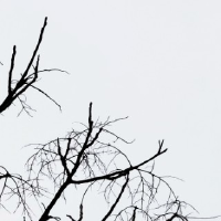 third_party_pcre2:暂无描述 - GitCode