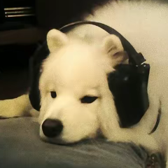 ops-nn:本项目是CANN提供的神经网络类计算算子库，实现网络在NPU上加速计算。 - AtomGit | GitCode