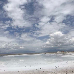 developtools_ace_ets2bundle:-- - GitCode