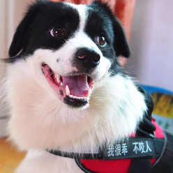 #4177: 渲染引擎frame ut新增 - OpenHarmony-TPC / chromium_src - GitCode