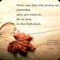 issues - OpenHarmony-SIG/ohrouter - AtomGit | GitCode