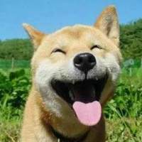 developtools_ace_ets2bundle:-- - AtomGit | GitCode