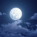 issues - OpenHarmony-SIG/rntpc_react-native-vision-camera - AtomGit | GitCode